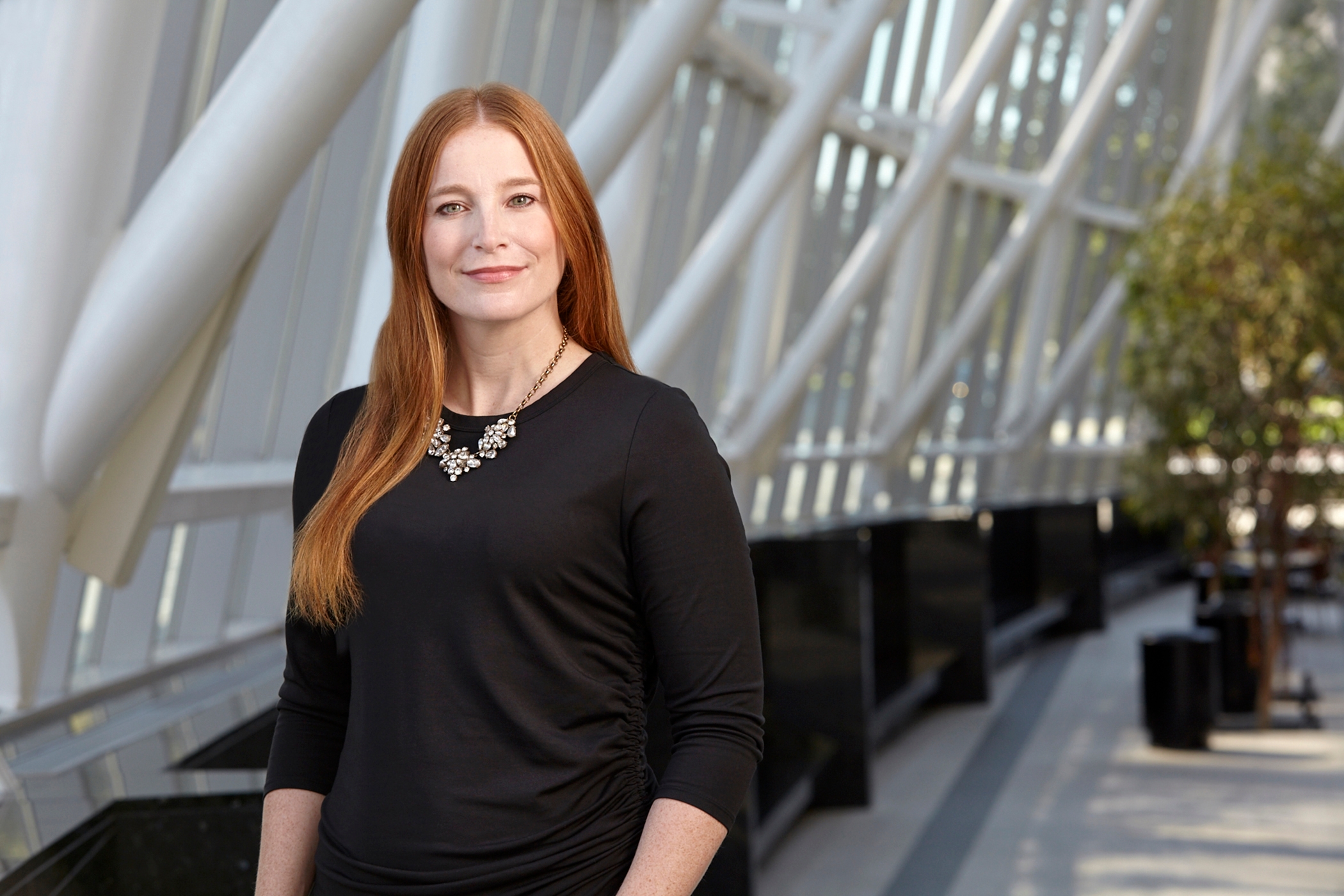 Stacey A. Shadden | Attorney, Co-Chair, Business and Corporate Group ...